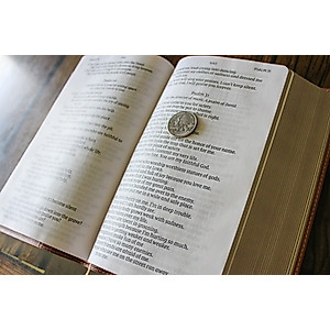 NIrV, Giant Print Compact Bible, Leathersoft, Brown, Comfort Print