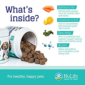 Omega Skin and Coat Chews for Dogs, Wild Salmon Dog Treats with Biotin & Vitamin E, Helps with Itchy Skin, Allergy Relief & Shedding, Omega 3 6 9, EPA & DHA Fatty Acids, Made in USA, 120 Chews
