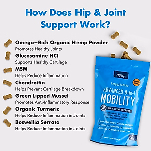 iHeartDogs Hip & Joint Supplement for Dogs - Advanced 8-in-1 Dog Joint Supplement Chews with Glucosamine, Chondroitin, Turmeric, Devil's Claw, Green Lipped Mussel, Hemp, Yucca, Boswellia & MSM - 90 Ct