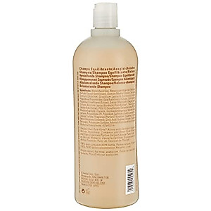 Aveda Scalp Benefits Balancing Shampoo 33.8 OZ