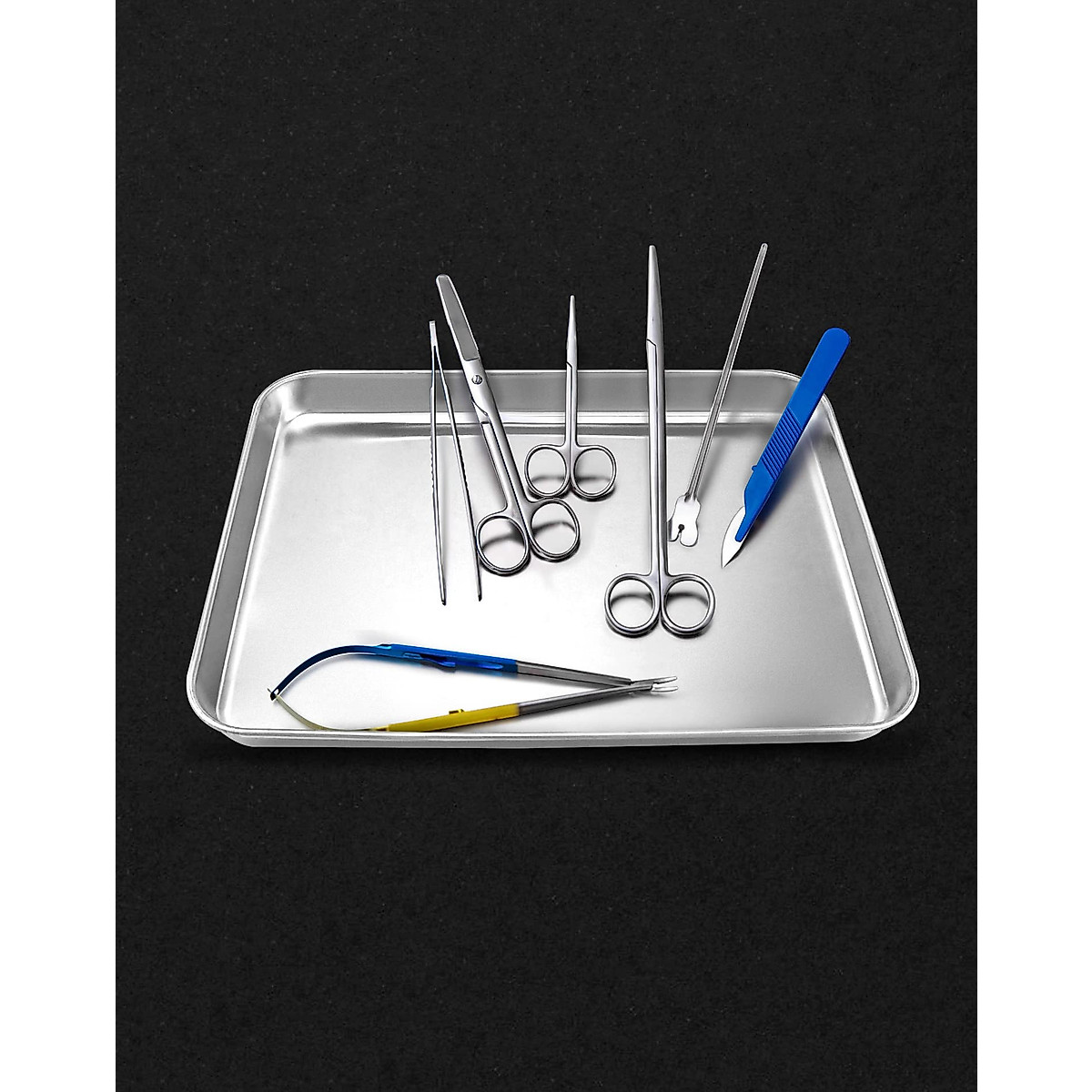 QWORK Stainless Steel Surgical Tray, for Medical Instruments, Tattoo, Surgical Supplies, 12 3/16 x 9 7/16 x 1, 4 Pack