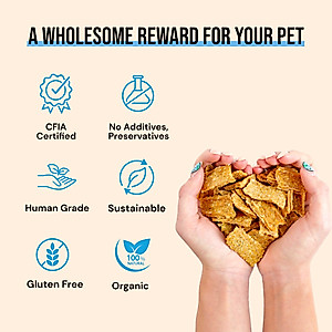 Happy Pet Happy Planet Dehydrated Walleye Fish Dog Treats Bundle - Grain-Free, High Protein, Human Grade, Natural, Supports Skin, Coat & Dental