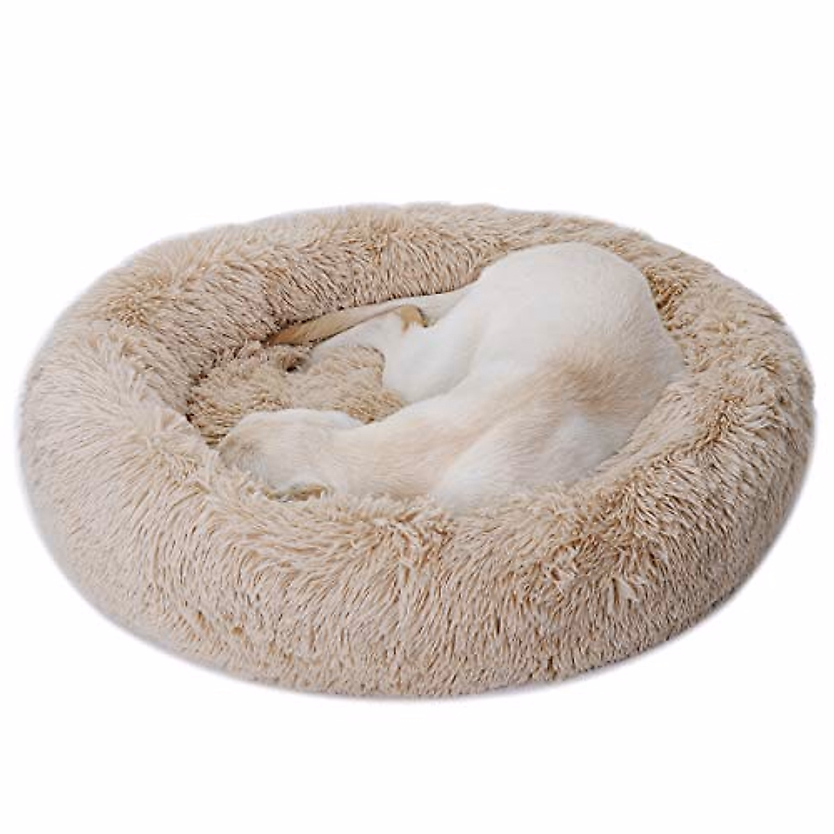 ZENY Pet Bed for Dogs & Cats, Anti-Slip, Machine Washable, Ultra Soft Washable Dog and Cat Cushion Bed
