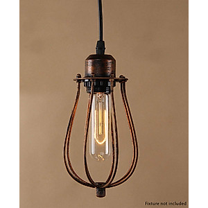 Royal Designs LB-2001-2 Clear Edison Incandescent Vintage Style 60-Watt T10 E26 120V Light Bulb, 2 pack