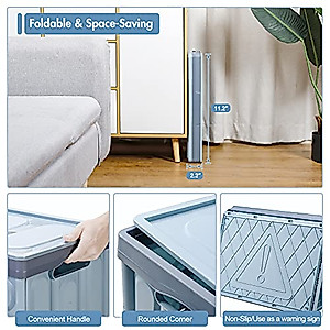 Homde Pack of 2 Collapsible Storage Bins with Lid Crates Plastic Tote Storage Box Container (Blue, Large)