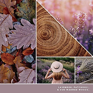 Yankee Candle Dried Lavender & Oak Studio Collection Jar Candle