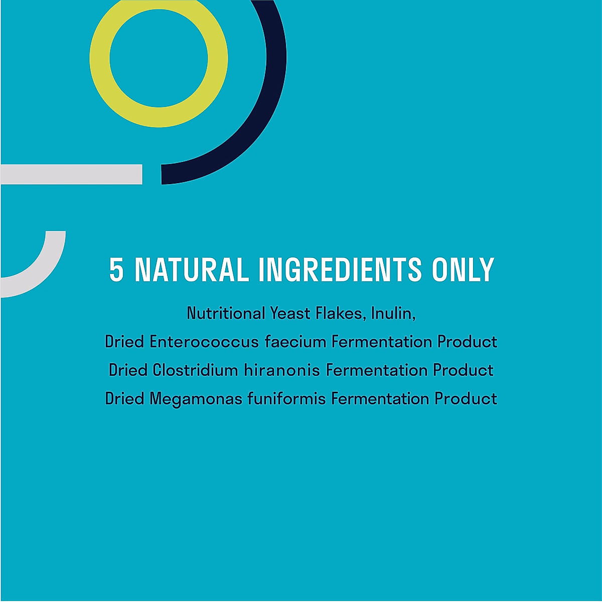 Arkus Daily XL Dog Probiotic, The Only Product Made with Microbes That are Natural to The Gut of Healthy Dogs, Supports Better Digestion, Gut Health, and Immune System, Maintains a Healthy Microbiome