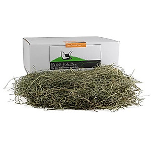 Rabbit Hole Hay Ultra Premium, Hand Packed Coarse Orchard Grass for Your Small Pet Rabbit, Chinchilla, or Guinea Pig (10lb)