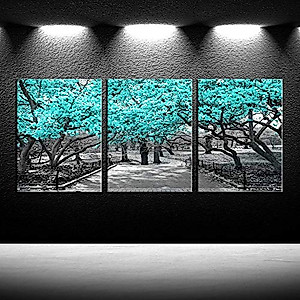 iKNOW FOTO 3 Pieces Canvas Wall Art for Bedroom Black White and Teal Cherry Blossom Trees Picture Giclee Prints Home Decor Modern Framed Artwork for Dining Room Kitchen Bathroom Office 12x16inchx3