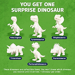 Prextex Build & Paint Your Own Dino Kit, 1 Pack - Collectible Dinosaur Toy, Surprise Dino, Building Toy, Arts & Crafts for Kids Ages 6-8, Painting/Art Set, Kids Gifts, Easter Basket Stuffers, Dino Egg