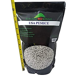 Bonsai, Cactus & Succulent Pumice - Professional Sifted and Ready to Use American … (2.5 Dry Quart)