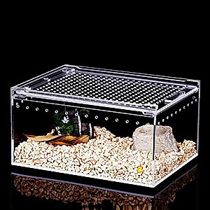 REMASIKO Magnetic Acrylic Case, 12" x 8" x 6" Enclosure Flat Long Reptile Breeding Box Terrarium Cage for Scorpion Sling Isopods Lizards Invertebrates Insects Mantis