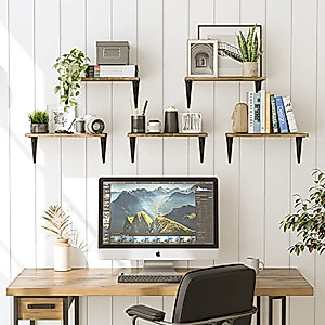 Wallniture Arras Floating Shelves for Wall Decor, Bookshelf for Living Room Decor, Wall Shelf for Bedroom, Kitchen Organization Bathroom Shelves 17"x8" Burnt Finish Set of 5