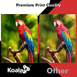 Koala Inkjet Transparency Film 50 Sheets 100% Clear Transparency Paper for Inkjet Printers, for Crafting, Overhead Projector, Screen Printing - 8.5x11 Inches