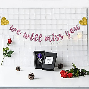 URYYRIT Rose Gold Glitter We Will Miss You Banner Retirement Party Decorations Sign Going Away Party Decor Farewell Party Decorations, Rosered