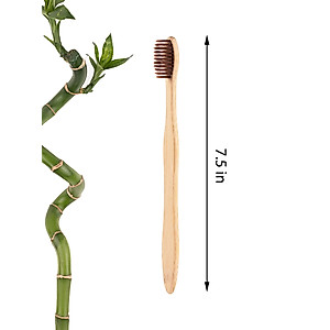 TanAisu Bamboo Toothbrushes with 10 Floss Picks, Travel Case - Biodegradable Toothbrushes (2 Brown, 2 Black, 2 White, 1 Purple, 1 Fuchsia) & Dental Floss Picks| Cover