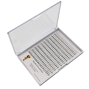 Large Tray-200pcs D Curl 5D Premade Fans Volume Eye Lashes Extensions Phoenix Tail Design Beauty Nature Long Soft and Light Individual False Eyelashes Cluster 10-16mm to Choose (13MM)