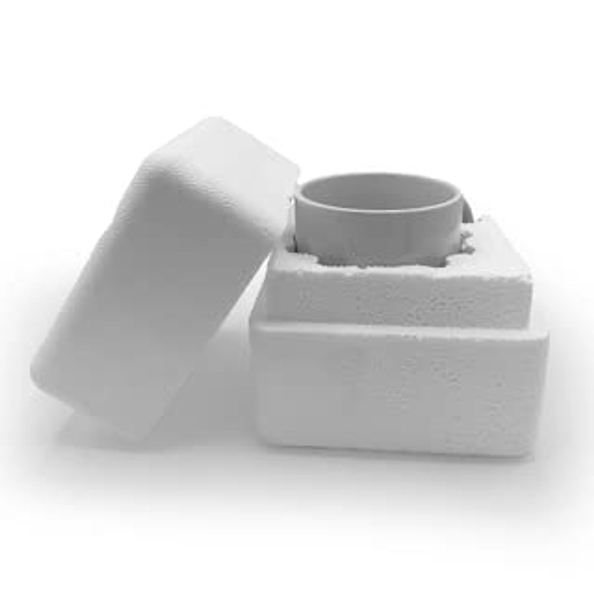 Banned Books Coffee Mug A Book Worth Banning Is A Book Worth Reading Tea Cups I'm With Banned Mugs Librarian Gifts For Teacher Book Lover Bookworm 11-15oz Eagle HBD