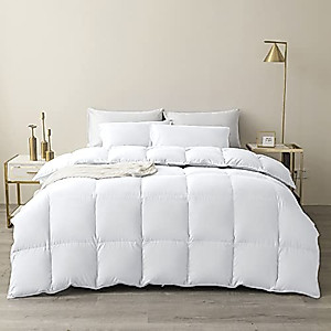 Soft Comforter Queen Size-Lightweight Down Alternative Comforter Duvet Insert with 8 Corner Tabs-Fluffy Breathable Box Stitched Reversible Comforter(White, Queen)