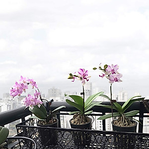 Business King 3 Inch Net Pots for Hydroponics 30 Packs with Plant Labels 30Pcs Heavy Duty Wide Mouth Net Cups Slotted Mesh Pot hydroponics Supplies