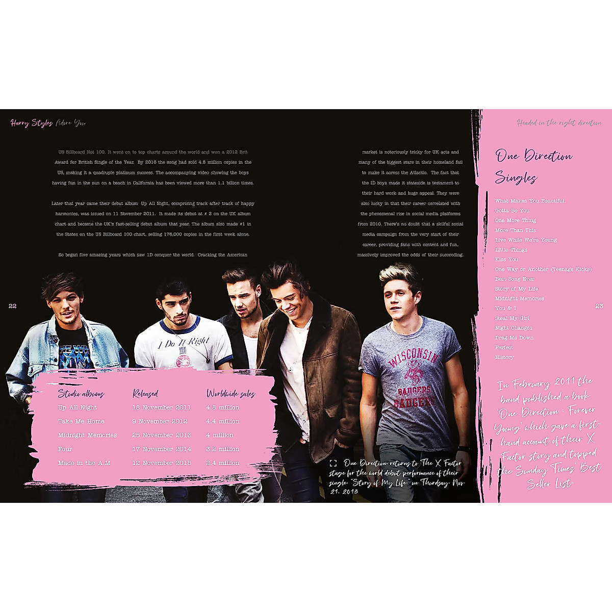 Harry Styles: Adore You: The Illustrated Biography