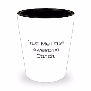 Coach For Colleagues, Trust Me I'm an Awesome Coach, New Coach Shot Glass, Ceramic Cup From Friends