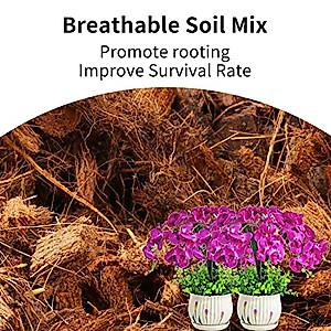 Orchid Potting Soil, Organic Barks Coconut Potting Soil Mix- 6 Qt, All Purpose Orchids Bricks Coarse Blend, Fast Draining Pre-Mixed Bonsai Soil for Indoor Orchid Plants 6L