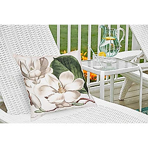 C&F Home Colonial Williamsburg Southern Magnolia Flower Premium Indoor/Outdoor Pillow Decor Decoration Accent Throw Pillow 18" x 18" Cream