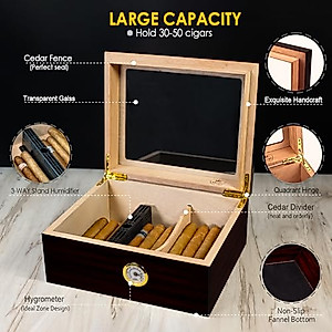Slege Cigar Humidor,Humidor Cigar Box for Cuban Cigars,Glass-Top Humidor Spanish Cedar-Cigar Case,Humidifier,Divider,Hygrometer