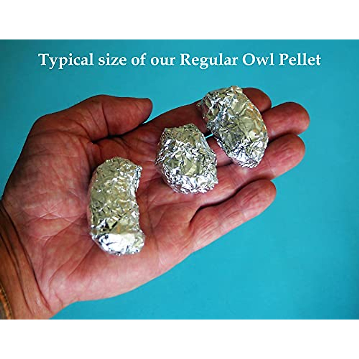 P1-100 Bargain Bucket, 100 Regular Owl Pellets with Teachers Guide and Bone Sorting Sheets