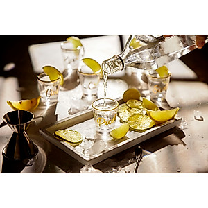 World of Cheers Europe Series, Set of 6 cute shot glasses bulk (1.5oz / 50ml) Heavy Base Shot Glasses Set, Detailed with Gold Rim shot glass, and Typography, an Uplifting Barware Collection