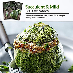 Survival Garden Seeds - Round Zucchini Seed for Planting - Pack with Instructions to Plant and Grow Small Green Zucchinis in Your Home Vegetable Garden - Non-GMO Heirloom Variety