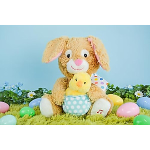 Cuddle Barn - Hip & Hop | Animated Plush Easter Bunny Interactive Stuffed Animal Toy Holding Chick in Egg Sings and Bops to Peter Cottontail