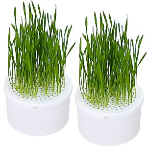 BENPIN 2Pcs Hydroponic Cat Grass Planter (no Seeds Included), Soil Free, No Dirt No Mess No Smell, Anti Digging Design, Easy to Plant Cat Grass Kit, Cat Grass for Indoor Cats Pets (Matte White)