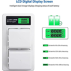 REYTRIC 2-Pack Batteries Compatible with Arlo Pro, Arlo Pro 2 (VMA4400), Upgraded 7.2V Rechargeable Lithium Li-ion Batteries Pack with Dual LCD Charger