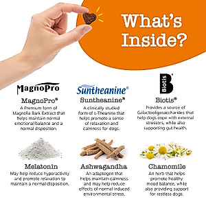 Zesty Paws Calming Chews for Dogs - Dog Calming Chews with Melatonin for Dogs Composure & Relaxation - Calm for Dogs Everyday Separation Stress & Nervousness - Vet Strength, Smoked Turkey - 90ct