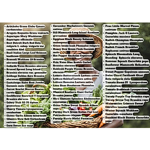 50 Vegetable & Herb Seeds for Planting Outdoor & Indoor Conventional Seed Gardens. This Survival Seed Kit Includes 12,500 Seeds, A Planting Guide & A Mylar Package. Heirloom Non-GMO Seed By B&KM Farms