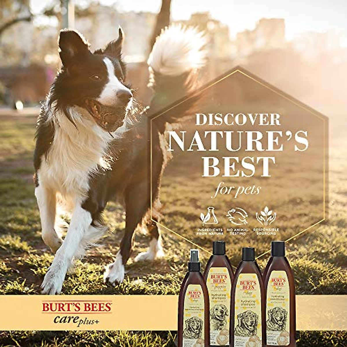 Burt's Bees for Dogs Care Plus+ Natural Hydrating Shampoo with Coconut Oil + Dog Grooming Supplies - Natural Dog Shampoo and Conditioner, Burts Bees Dog Conditioner, Puppy Shampoo