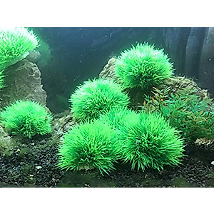 4Pcs Aquarium Decorations Fish Tank Artificial Green Water Plants Made of Soft Plastic