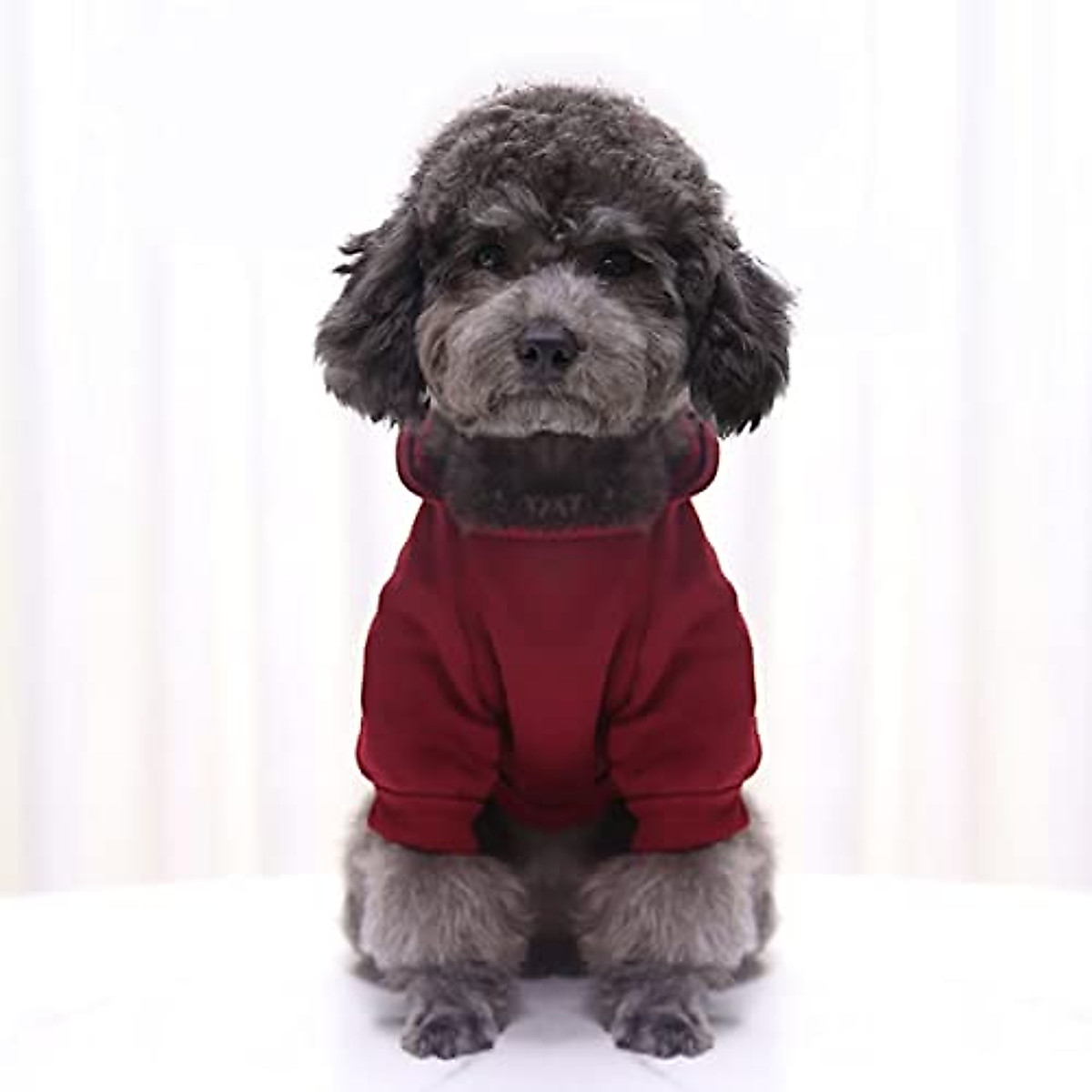 Dog Hoodie with Pocket Pet Warm Sweater for Winter Small Medium Dogs Puppy Coat Red XS