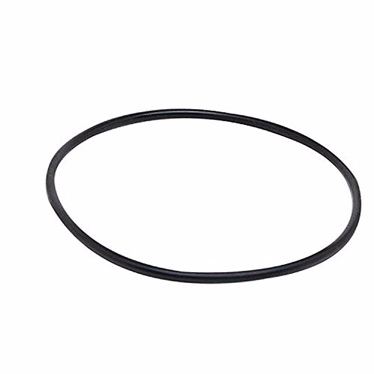 Fluval 104, 105, 204, 205, 106, 206 Replacement Motor Seal Ring (A20038)