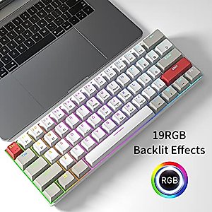 Newmen GM610 60% Wireless Mechanical Keyboard,Wired/Bluetooth RGB Backlit,61 Anti-Ghosting Keys,Programmable,Hot-Swappable Gaming Keyboard,for PC Windows Mac Laptop Computer(Linear Red Switch)