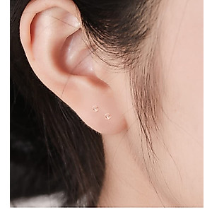 Elfstone 3mm Invisible Plastic Earrings Blank Pins Stud Tiny Head Findings DIY Supplies (200 pieces/100 Pairs)