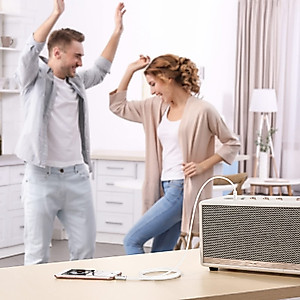 Syncwire 3.5mm Audio Cable, Aux Cable (1.6ft/0.5m) Auxiliary Cord Stereo Jack Male to Male Nylon Braided Audio Cord for Car, Headphone, Home Stereos, Speaker, iPhones,Tablets, Echo&More Silver