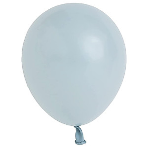 Beaumode The Big One Balloon Arch Garland Kit for Surfs Up First Birthday Baby On Board Baby Shower Ride the Wave Boy Beach Theme Birthday Ocean Party Backdrop Decoration (Slate Blue)