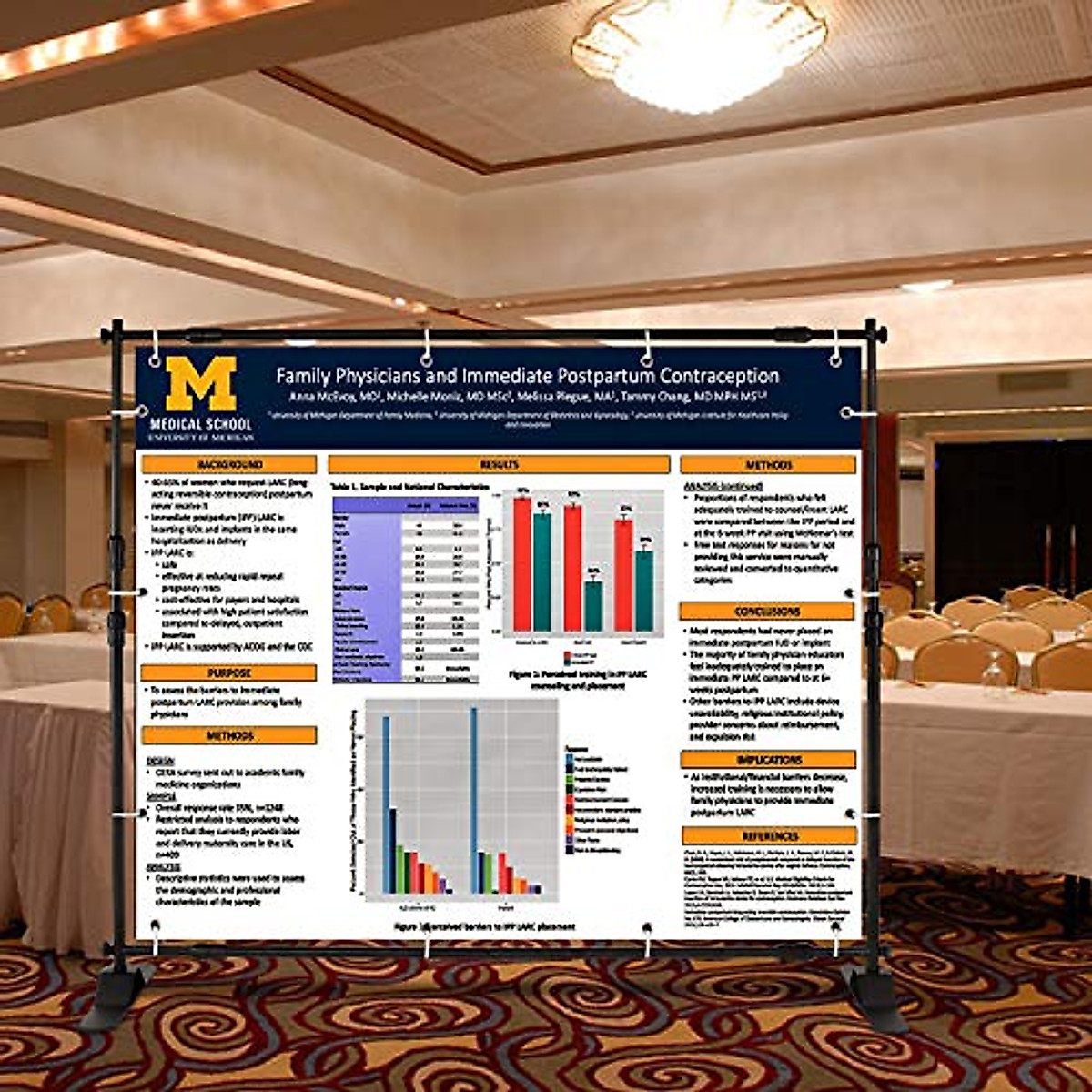 AkTop 10 x 8 ft Heavy Duty Backdrop Banner Stand Kit, Adjustable Photography Step and Repeat Stand for Parties, Portable Trade Show Photo Booth Background with Carrying Bag