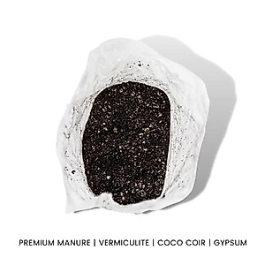 MushroomSupplies.com Mushroom Substrate| Premium Manure, Vermiculite, Coco Coir & Gypsum | 0.2 Micron Filter Grow Bag | Mycologist Developed Kits