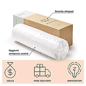 ZINUS 12 Inch Euro Top Pocket Spring Hybrid Mattress / Pressure Relief / Pocket Innersprings for Motion Isolation / Bed-in-a-Box, Queen