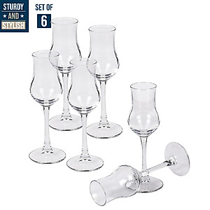 SECEN LONDON Set of 6, 3.2 oz, Crystal Glass Stemware Collection Fruit Brandy/Grappa Cocktail Spirits Glass, Dinner Drinks, Italian Tulip Shape, Tasting Glasses, Perfect For Nosing and Sipping