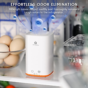 Airthereal PA300-GO Portable Ozone Generator - Cordless Battery Powered Odor Eliminator for Refrigerator, Car, Travelling, Shoe Cabinet, and Other Small Spaces, White 1-Pack